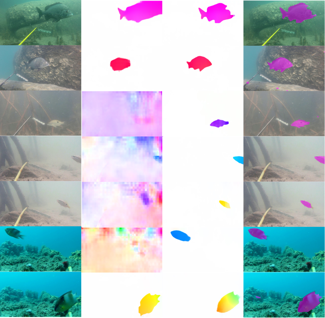 [2208.10662] Unsupervised Fish Trajectory Tracking and Segmentation