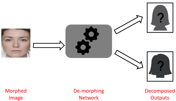 [2209.02933] Facial De-morphing: Extracting Component Faces from a ...