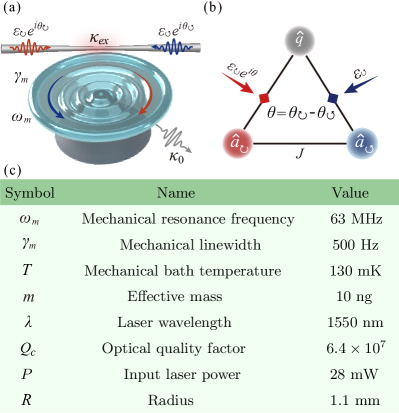[2209.12508] Phase-controlled asymmetric optomechanical entanglement ...