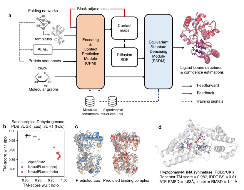 [2209.15171] State-specific protein-ligand complex structure prediction with a multi-scale deep ...