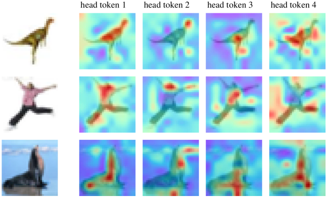 [2210.05958] Bridging the Gap Between Vision Transformers and ...