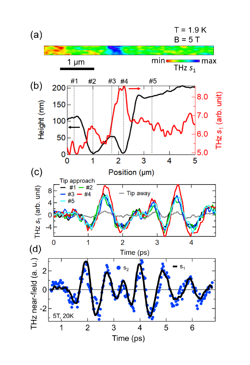 [2210.07319] Cryogenic Magneto-Terahertz Scanning Near-field Optical ...