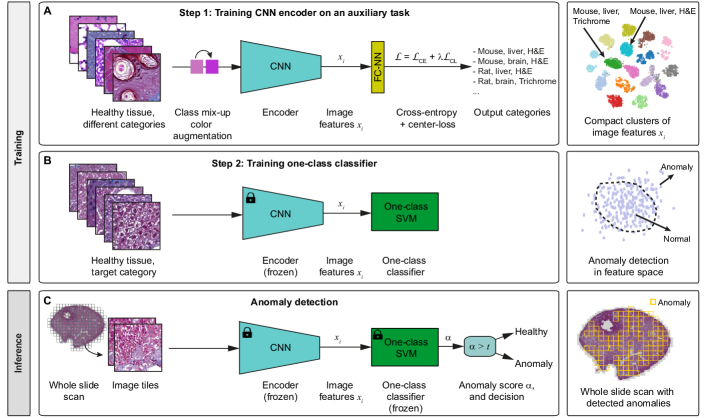 [2210.07675] Learning image representations for anomaly detection: application to discovery of ...