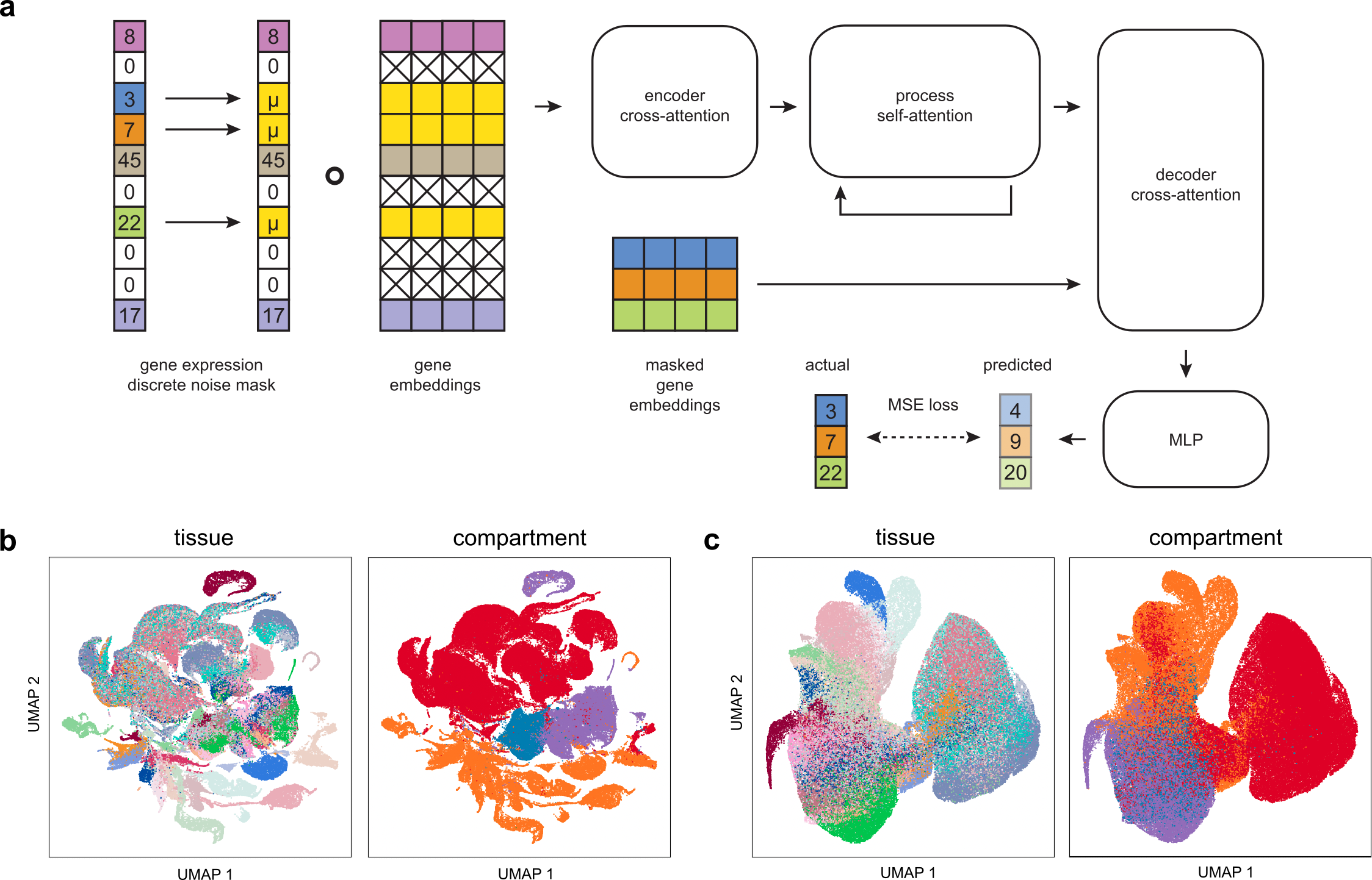 [2210.14330] A single-cell gene expression language model