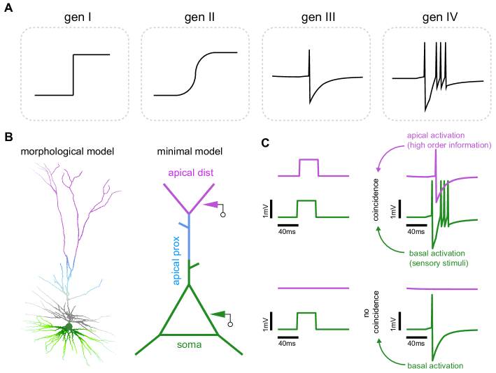 [2211.02553] Beyond spiking networks: the computational advantages of ...