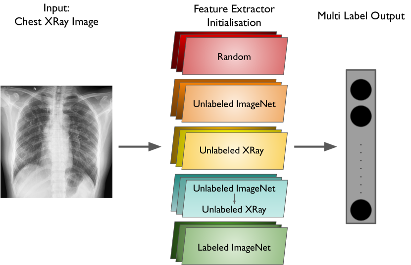 [2211.12931] Can we Adopt Self-supervised Pretraining for Chest X-Rays?