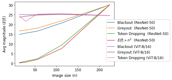 [2211.14646] Towards Improved Input Masking for Convolutional Neural Networks