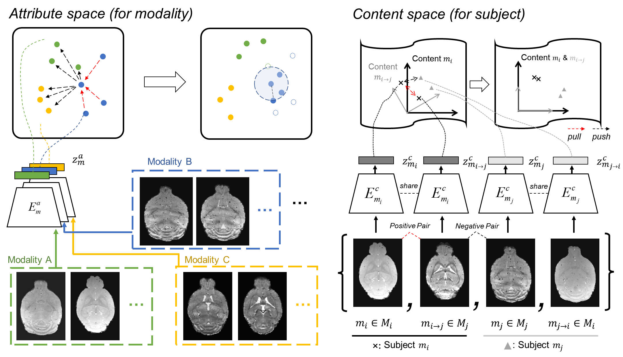 [2212.01825] MouseGAN++: Unsupervised Disentanglement and Contrastive Representation for ...