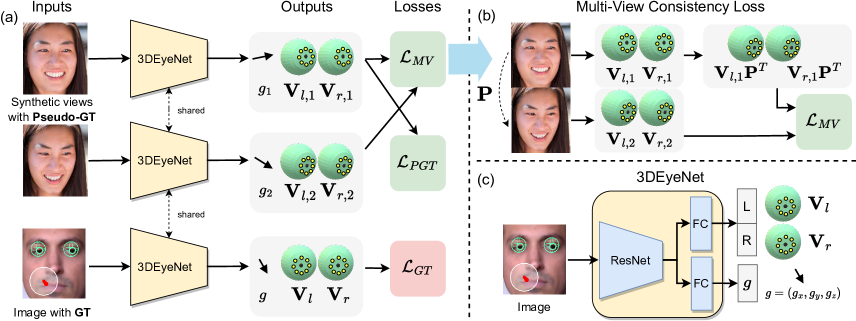 [2212.02997] 3DGazeNet: Generalizing 3D Gaze Estimation with Weak-Supervision from Synthetic Views
