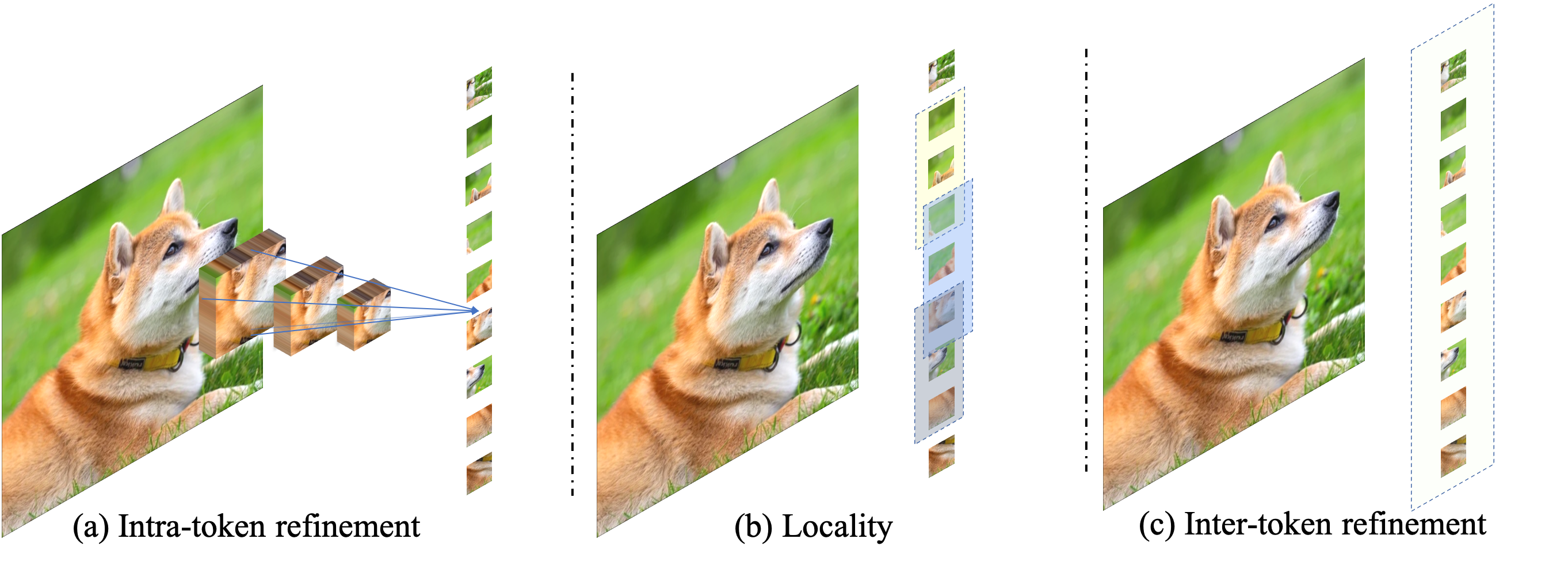 [2212.11115] What Makes for Good Tokenizers in Vision Transformer?