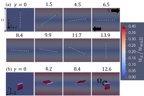 [2301.03818] Extension of Moving Particle Simulation including rotational degrees of freedom for ...