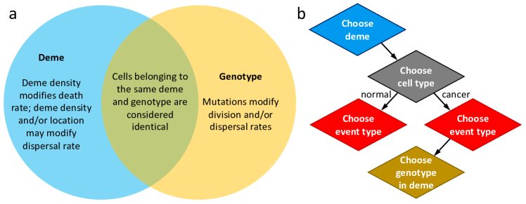 [2301.07808] Warlock: an automated computational workflow for simulating spatially structured ...