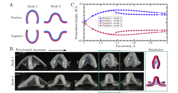 [2301.09179] Design of bistable soft deployable structures via a Kirigami-inspired planar ...