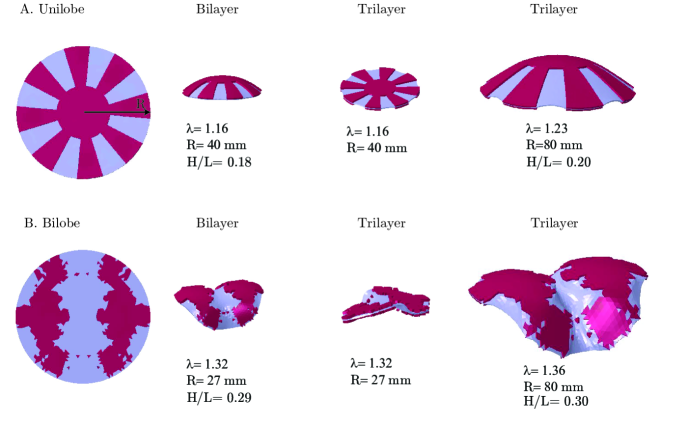 [2301.09179] Design of bistable soft deployable structures via a ...