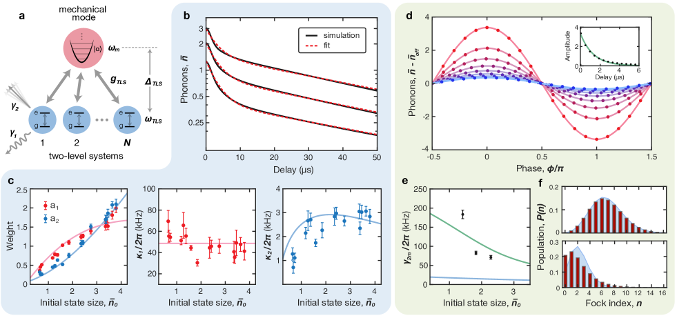 [2302.00221] Studying phonon coherence with a quantum sensor