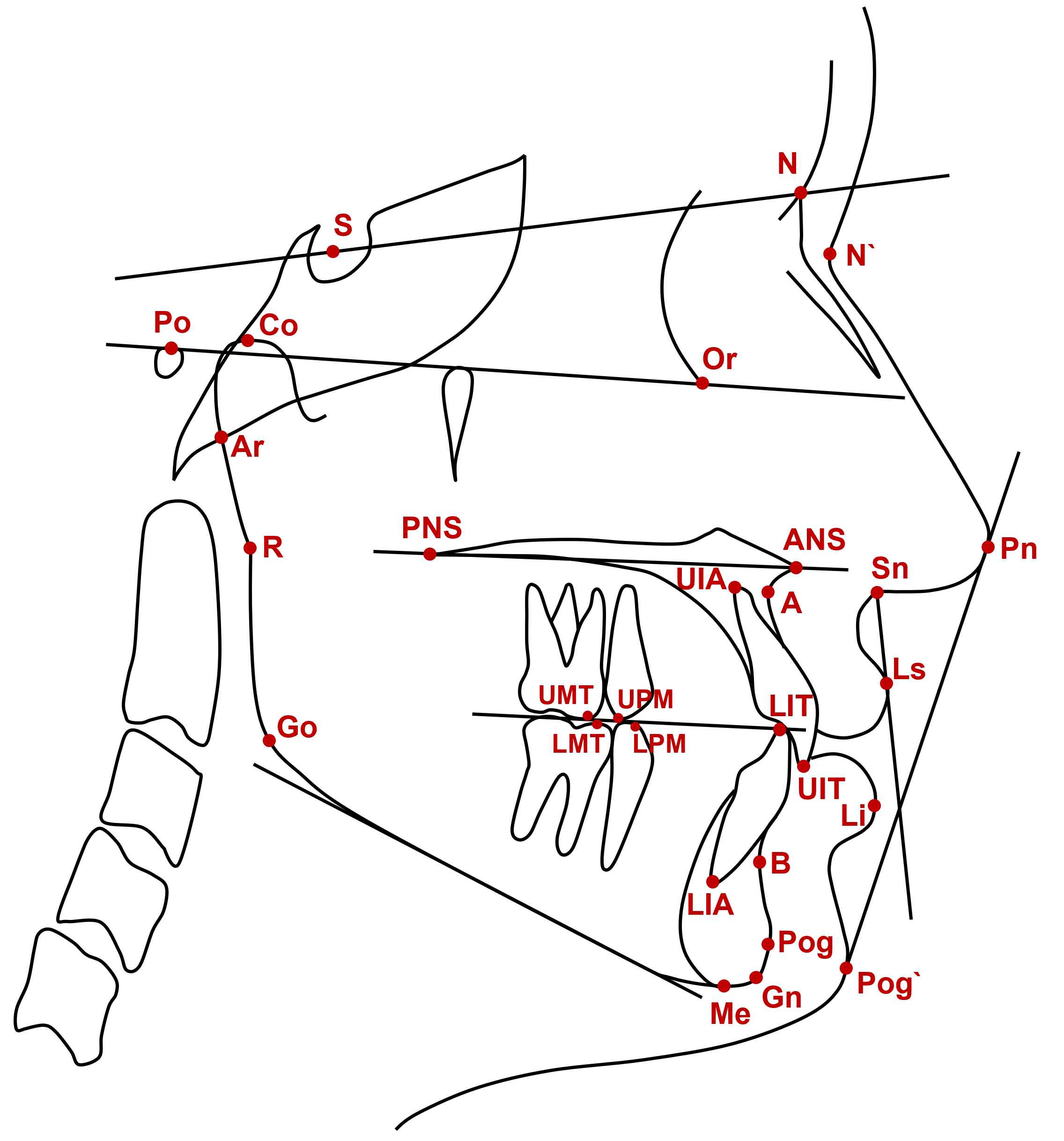 [2302.07797] 'Aariz: A Benchmark Dataset for Automatic Cephalometric ...