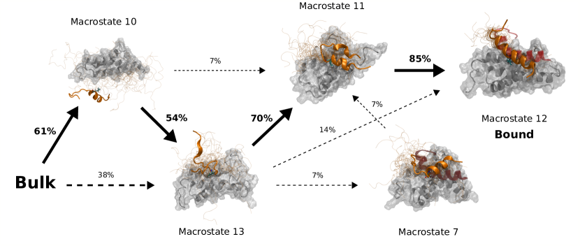 [2302.10348] Binding-and-folding recognition of an intrinsically ...