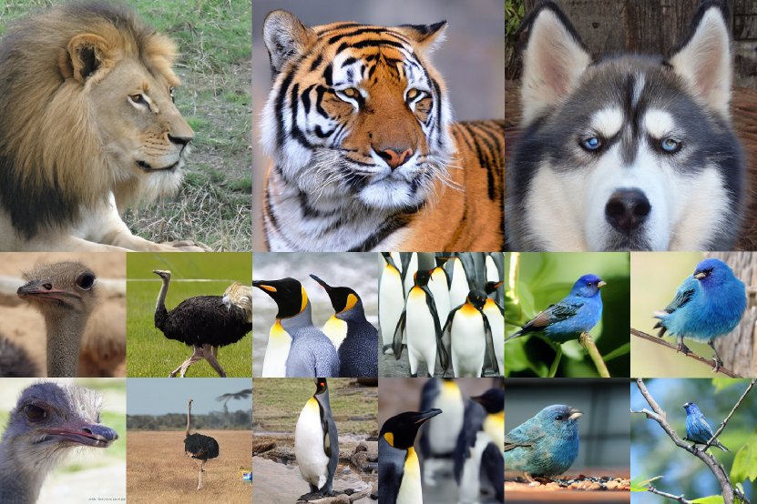 [2302.10586] Diffusion Models and Semi-Supervised Learners Benefit Mutually with Few Labels