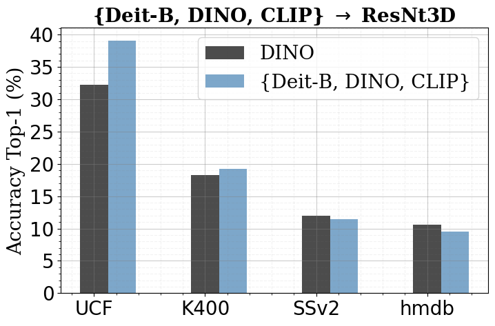 [2302.12252] Boosting Adversarial Transferability using Dynamic Cues