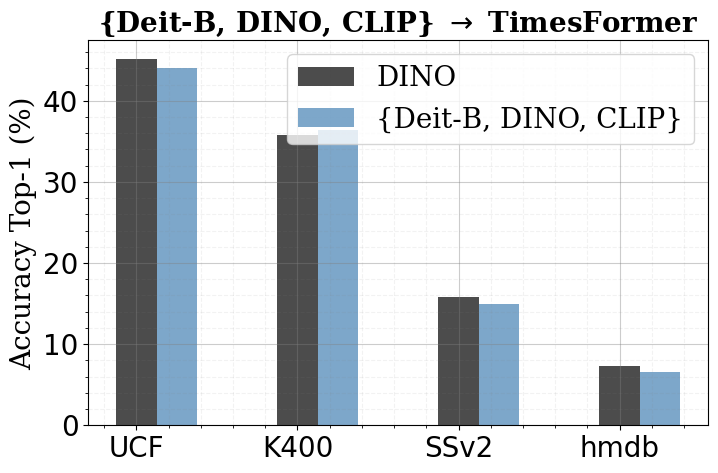 [2302.12252] Boosting Adversarial Transferability using Dynamic Cues