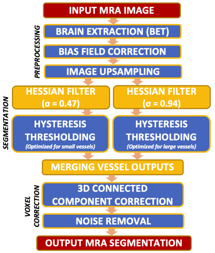 [2303.05113] Segmentation method for cerebral blood vessels from MRA ...