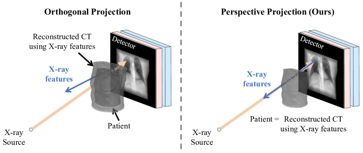 [2303.05297] Perspective Projection-Based 3D CT Reconstruction from ...
