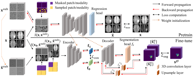 [2303.05302] M3AE: Multimodal Representation Learning for Brain Tumor Segmentation with Missing ...