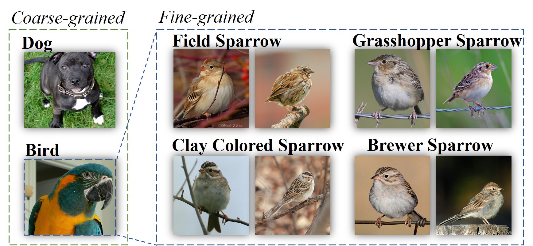 [2303.06442] Fine-grained Visual Classification with High-temperature Refinement and Background ...