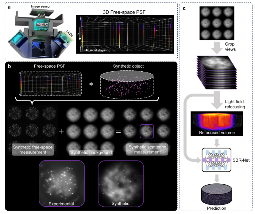 [2303.12573] Robust single-shot 3D fluorescence imaging in scattering ...