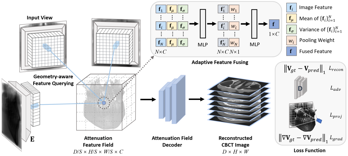 [2303.14739] Geometry-Aware Attenuation Field Learning for Sparse-View CBCT Reconstruction