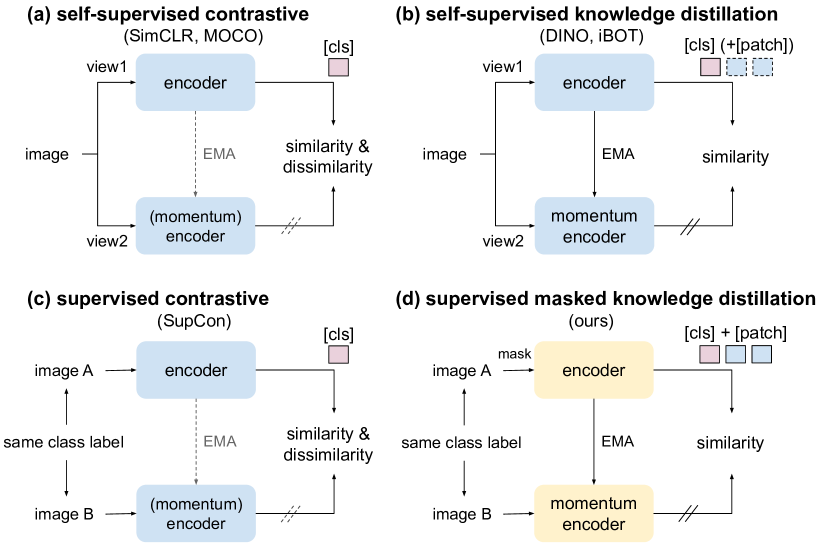 [2303.15466] Supervised Masked Knowledge Distillation for Few-Shot ...