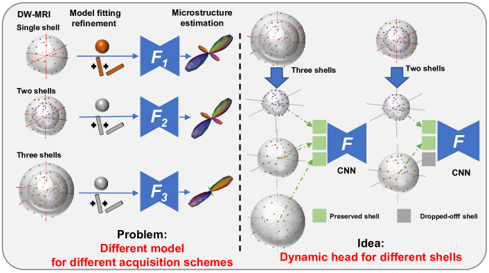 [2303.16376] A Unified Learning Model for Estimating Fiber Orientation Distribution Functions on ...