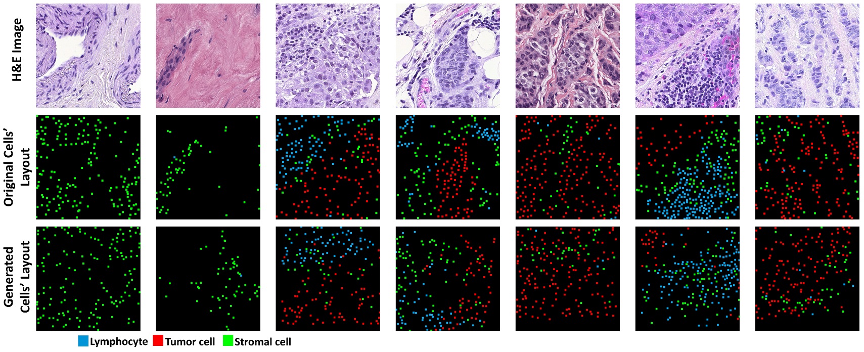 [2304.02255] Topology-Guided Multi-Class Cell Context Generation for ...