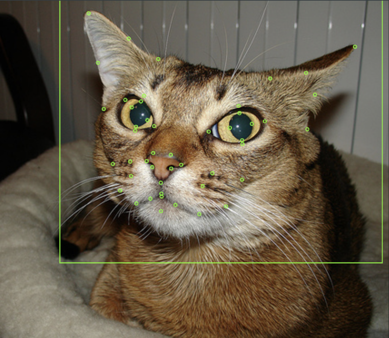 [2305.04232] CatFLW: Cat Facial Landmarks in the Wild Dataset