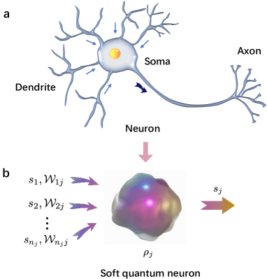 [2305.08544] Quantum Neural Network for Quantum Neural Computing
