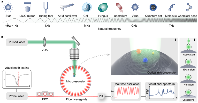 [2305.13587] Single-particle vibrational spectroscopy using optical ...