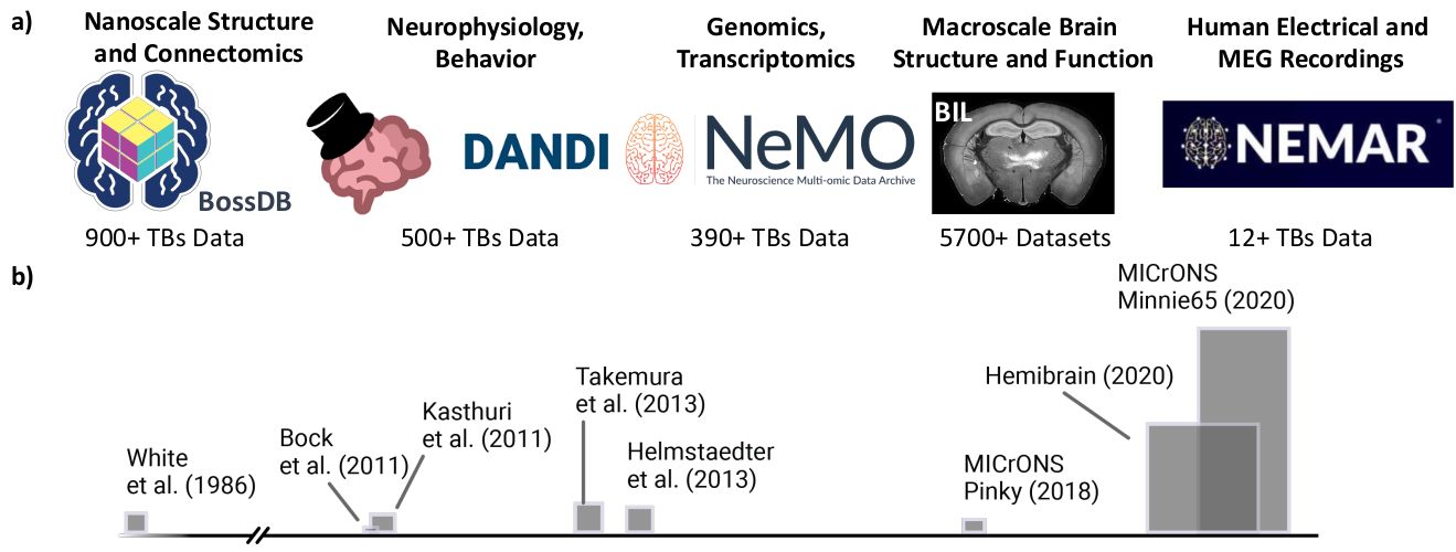 [2305.17300] Exploiting Large Neuroimaging Datasets to Create Connectome-Constrained Approaches ...