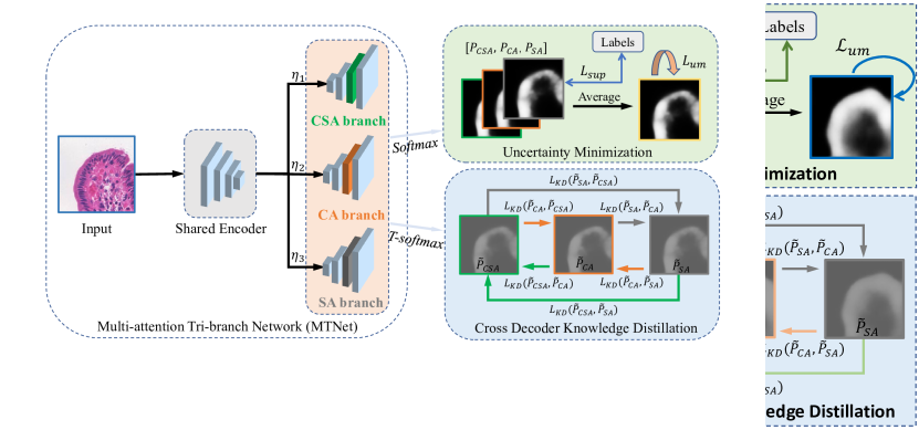 [2305.18830] Semi-supervised Pathological Image Segmentation via Cross Distillation of Multiple ...