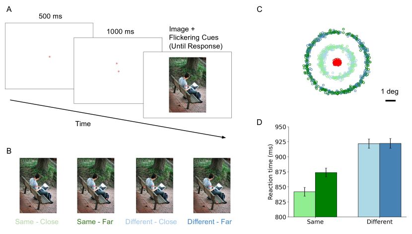 [2306.00294] Affinity-based Attention in Self-supervised Transformers Predicts Dynamics of ...