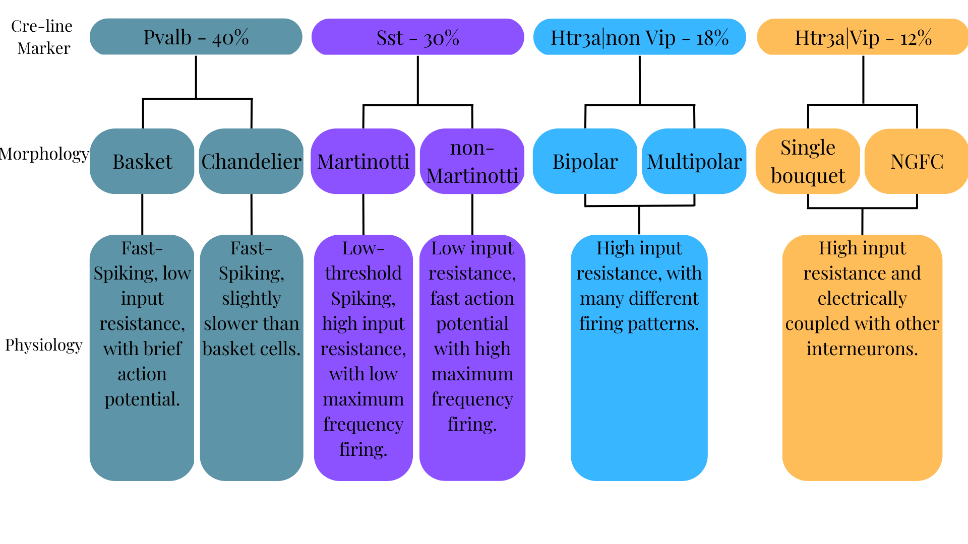 [2306.00528] Neuronal Cell Type Classification using Deep Learning