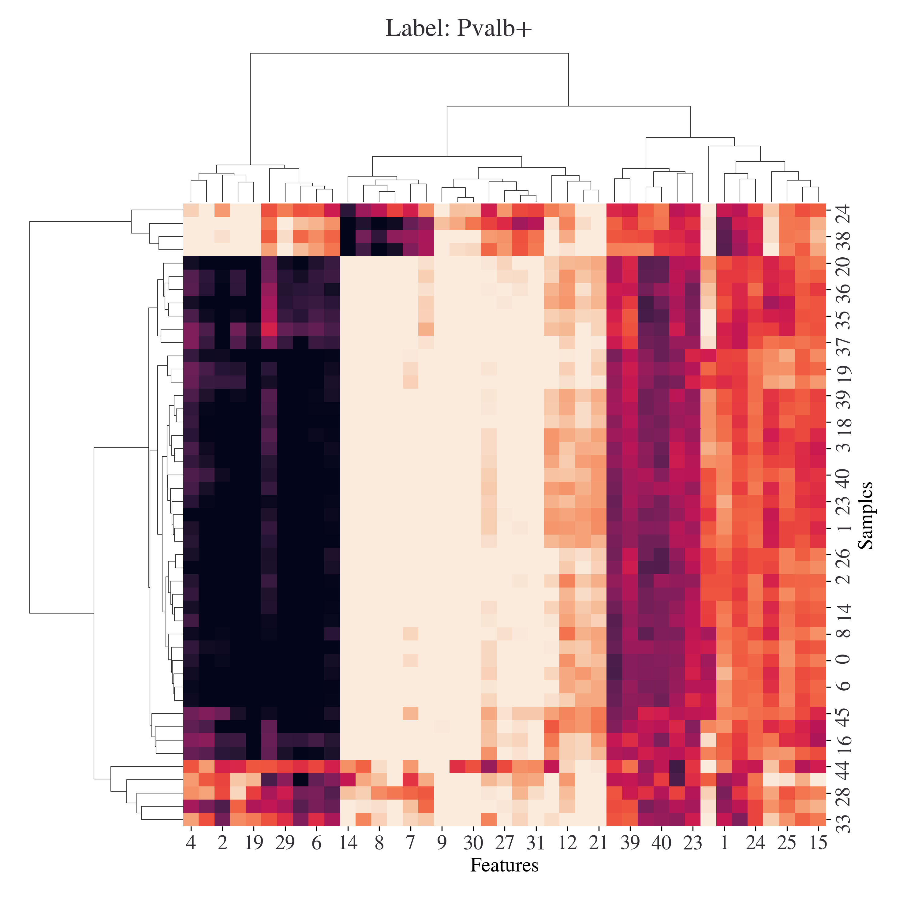 [2306.00528] Neuronal Cell Type Classification using Deep Learning
