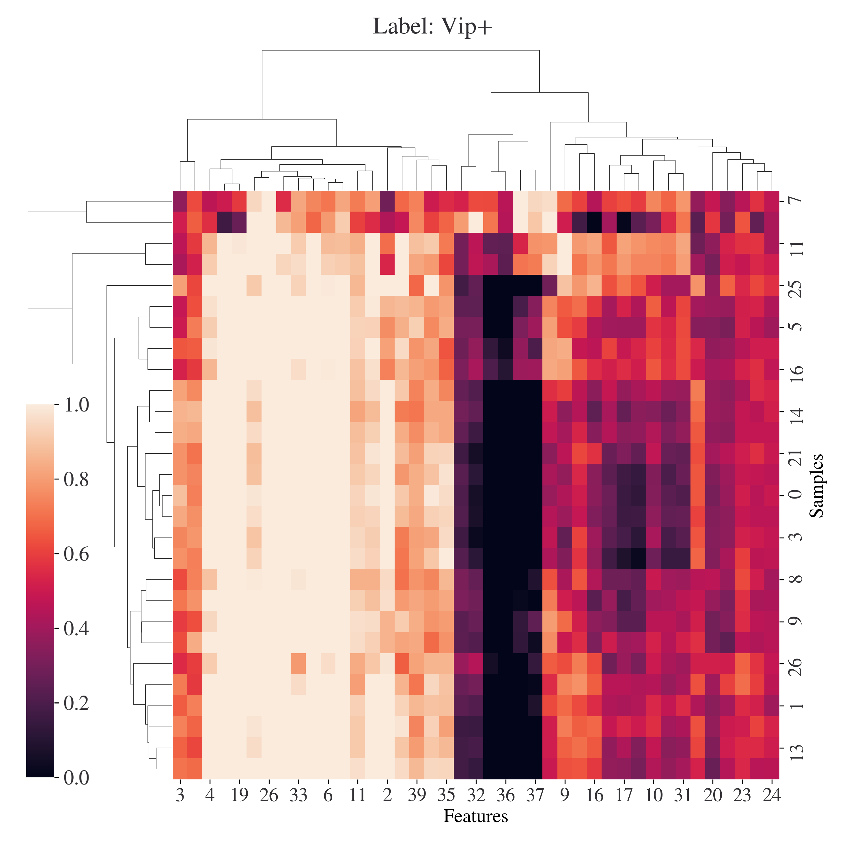 [2306.00528] Neuronal Cell Type Classification using Deep Learning