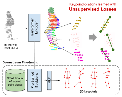 [2306.04745] 3D Human Keypoints Estimation from Point Clouds in the ...