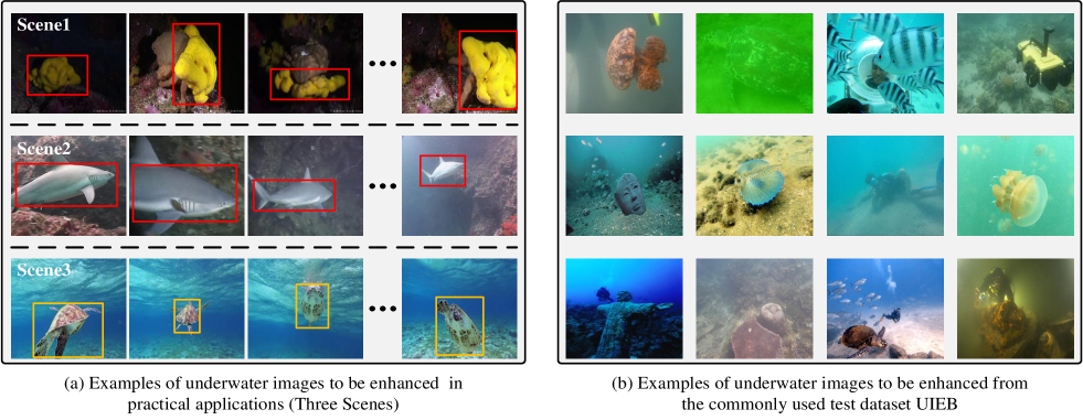 [2306.08344] UIERL: Internal-External Representation Learning Network for Underwater Image ...