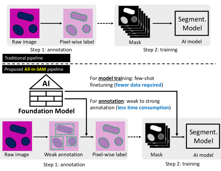 [2307.00290] All-in-SAM: from Weak Annotation to Pixel-wise Nuclei Segmentation with Prompt ...