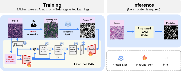 [2307.00290] All-in-SAM: from Weak Annotation to Pixel-wise Nuclei Segmentation with Prompt ...