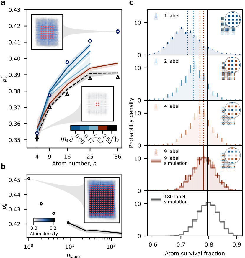 [2307.06936] An atomic boson sampler