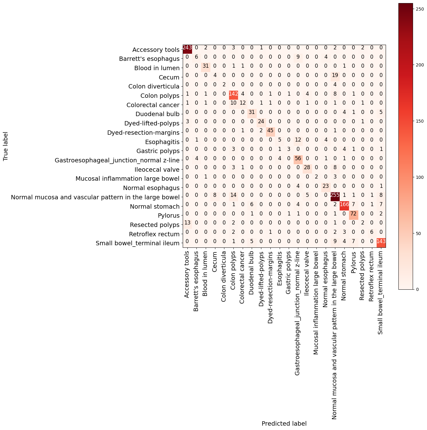 [2307.08140] GastroVision: A Multi-class Endoscopy Image Dataset for ...