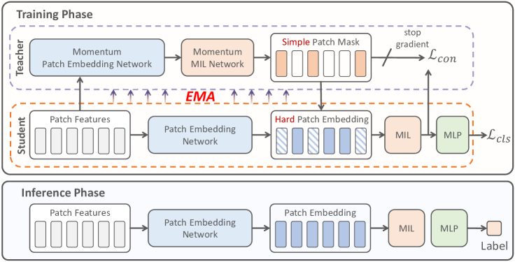 [2307.15254] Multiple Instance Learning Framework with Masked Hard Instance Mining for Whole ...