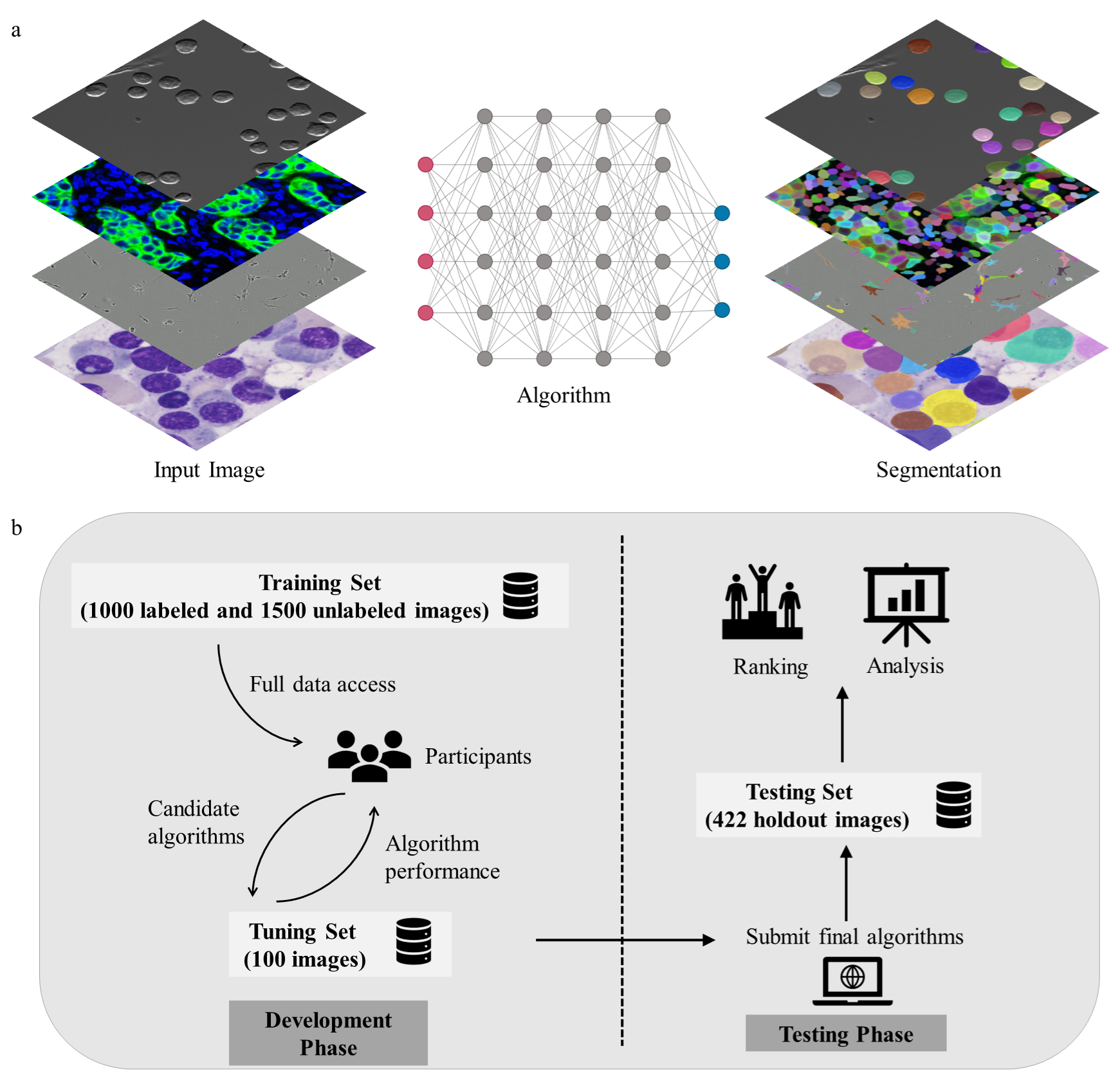 [2308.05864] The Multi-modality Cell Segmentation Challenge: Towards ...